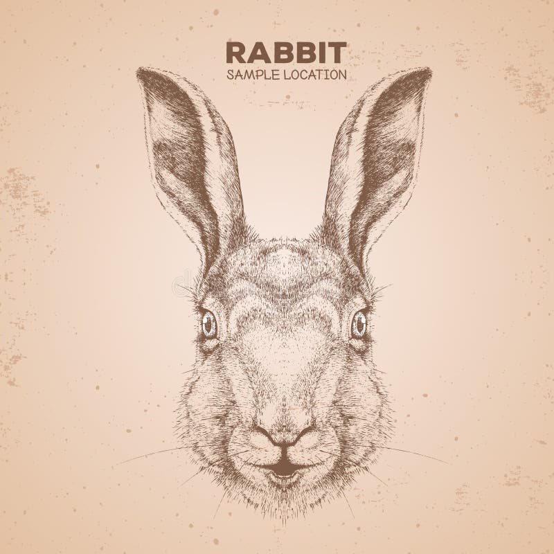 Hipster Animal Rabbit. Hand Drawing Muzzle of Bunny Stock Vector ...