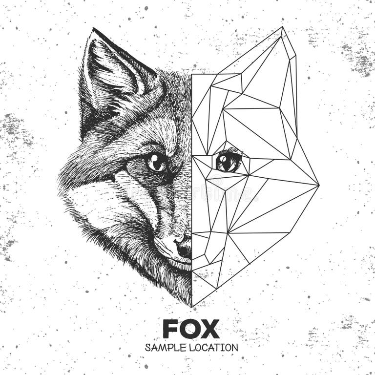 Fox Triangle Stock Illustrations – 1,646 Fox Triangle Stock ...