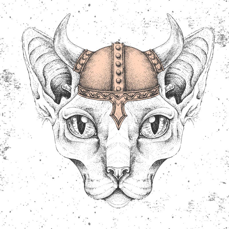 Hipster Animal Sphynx Cat Wearing a Viking Helmet. Hand Drawing Muzzle ...