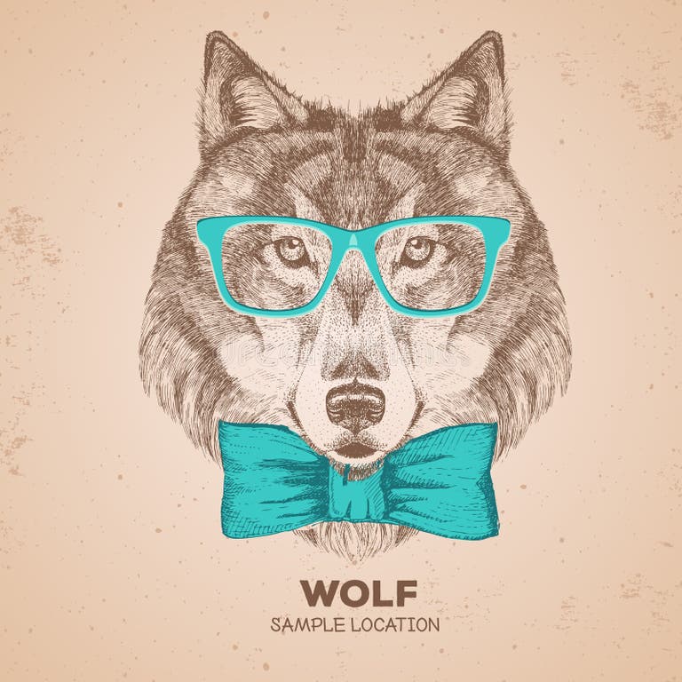 Retro Hipster Animal Wolf. Hand Drawing Muzzle of Wolf Stock Vector ...