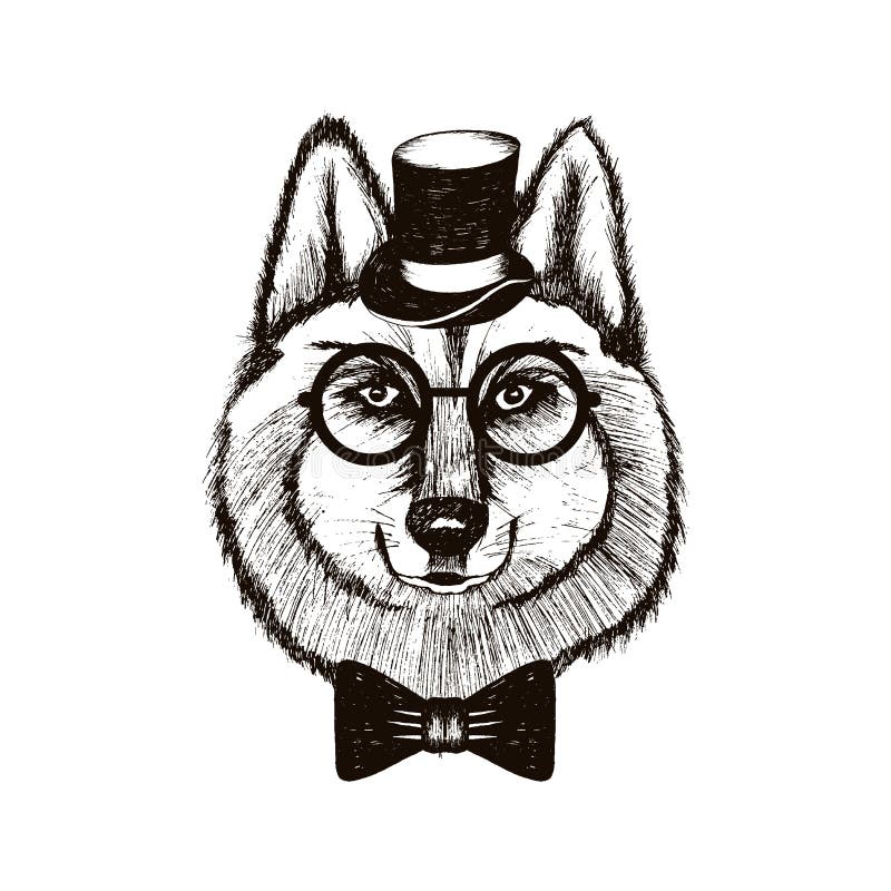 Hipster Wolf Muzzle Wearing Top Hat and Bowtie Vector Hand Drawn ...