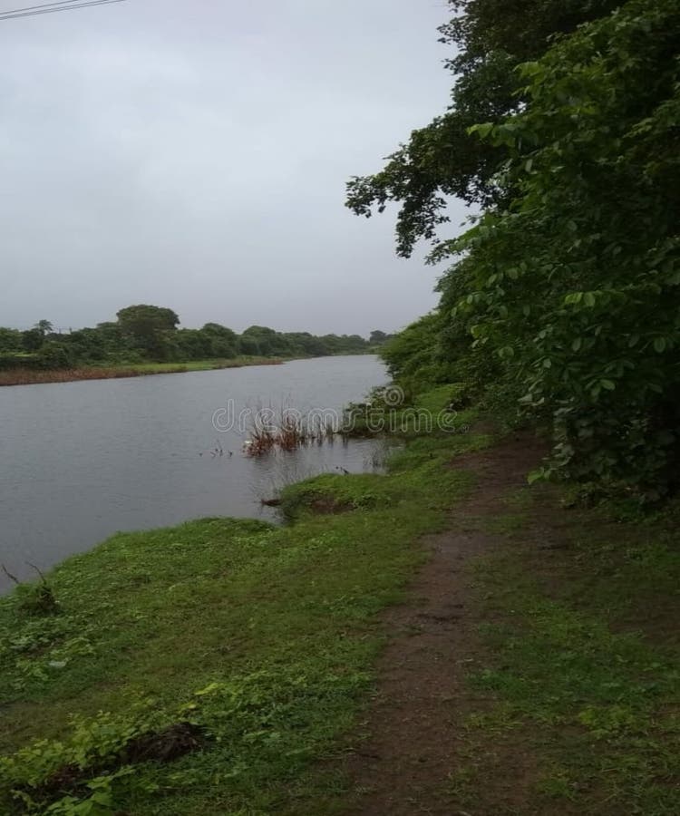 Hiran River As it Passes through Sasan. Stock Photo - Image of pipecane ...