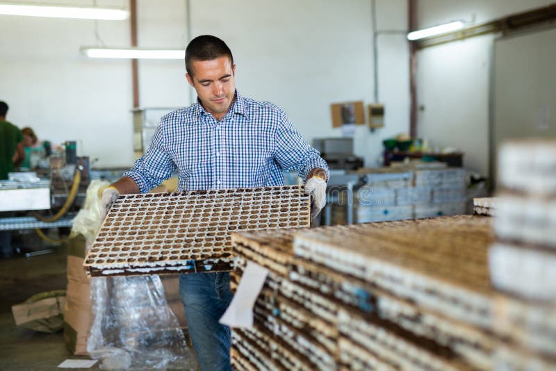 Worker Man Stacking Trays with Seedlings in Piles Stock Image - Image ...