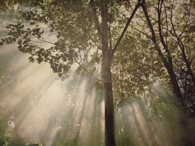 His Light always Illuminates and Accompanies You Stock Photo - Image of ...