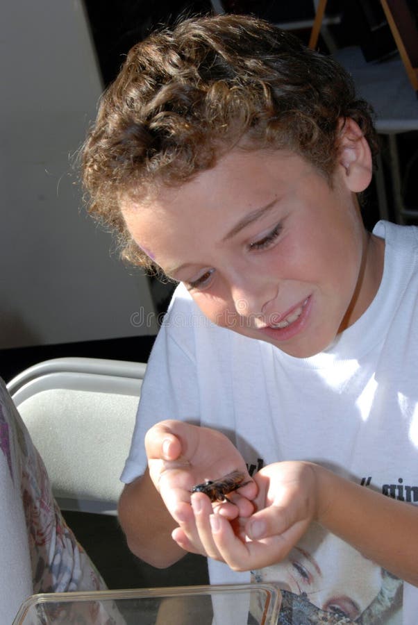 Hissing cockroach in hand stock image. Image of child - 6814797