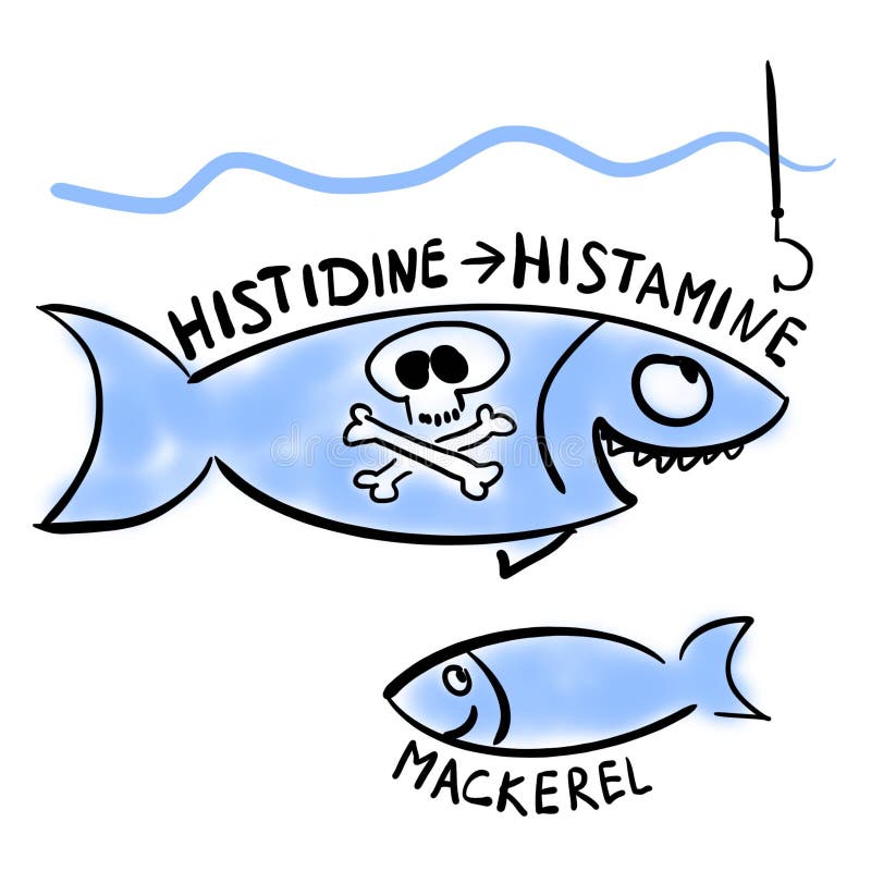 Histamine fish poisoning stock illustration. Illustration of looks ...