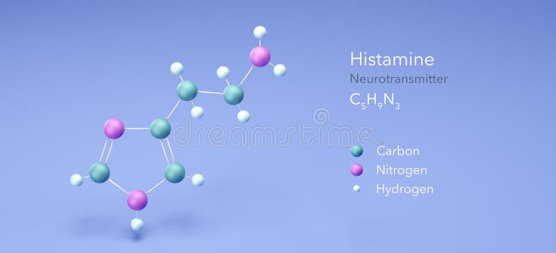 Histamine, Molecular Structures, Neurotransmitter, 3d Model, Structural ...