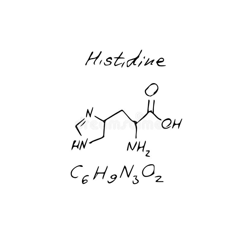 Histidine C6H9N3O2 Molecule Formula. Hand Drawn Imitation of Histidine ...