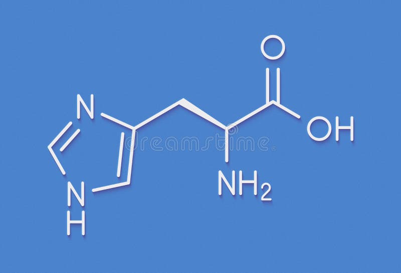 Histidine L-histidine, His, H Amino Acid Molecule. Skeletal Formula ...