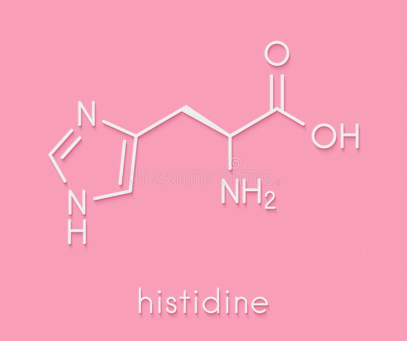 Histidine amino acid stock vector. Illustration of chemical - 156578603