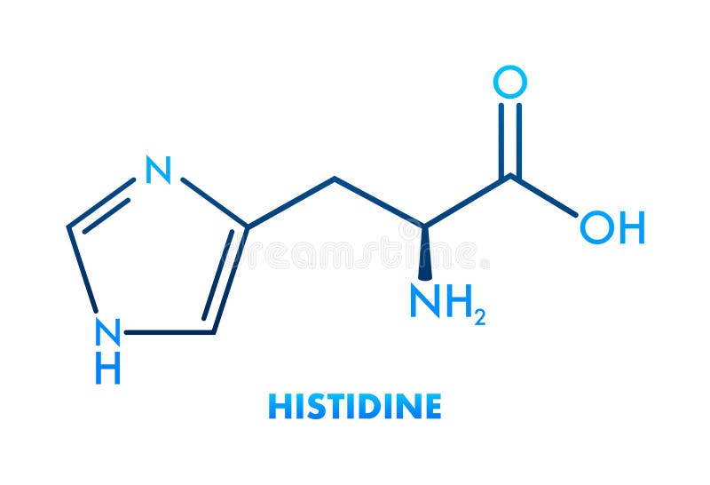 Histidine L-histidine, His, H Amino Acid Molecule. Vector Illustration ...