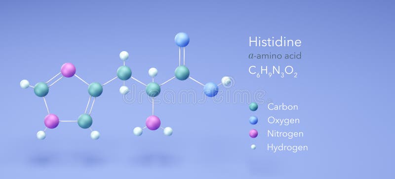 Histidine Moleculaire Structuren Aminozuur 3d Model Structuurchemische ...