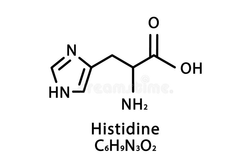 Histidine Molecular Structure. Histidine Skeletal Chemical Formula ...
