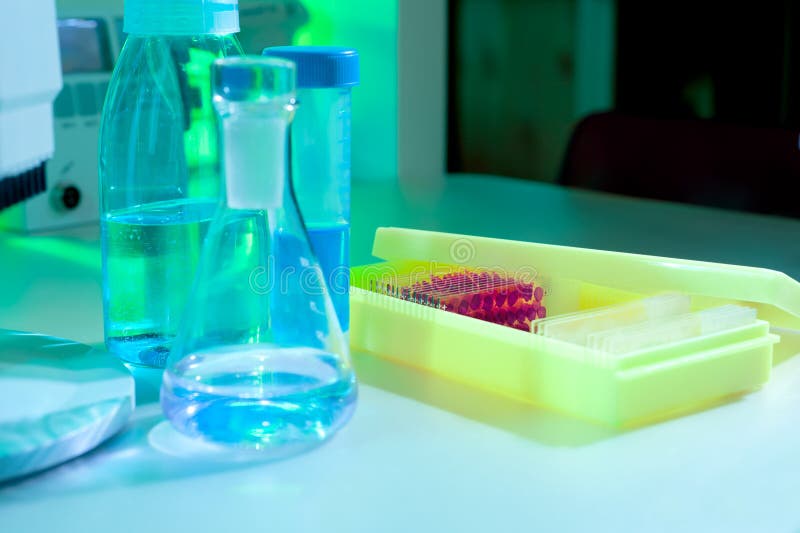 Histological Sections Processed for Microscopy Stock Photo - Image of ...