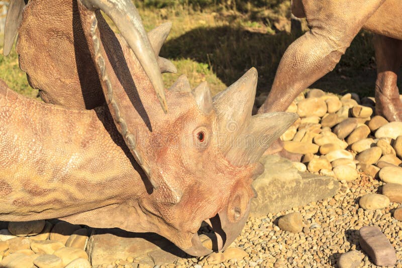 Historia del hueso imagen editorial. Imagen de real, historia - 92267435