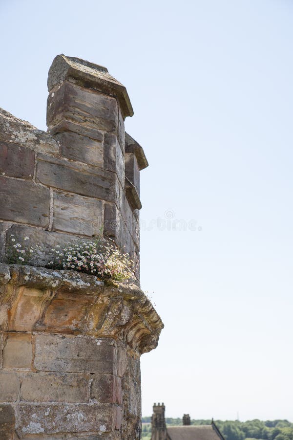 The Historic Battle Abbey in Hastings Stock Image - Image of beautiful ...