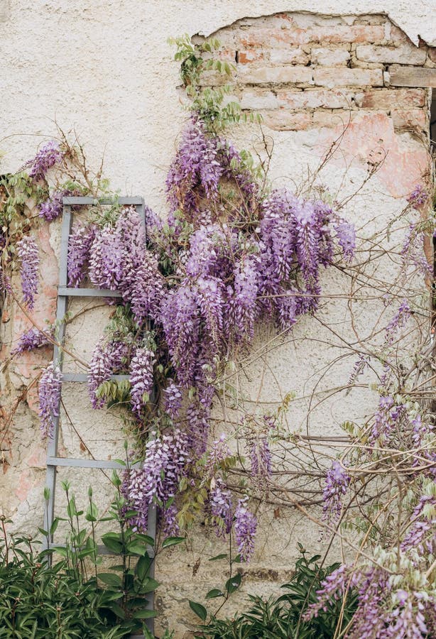 Historic Building Architecture Texture Old Arch Terrace Stock Photo ...