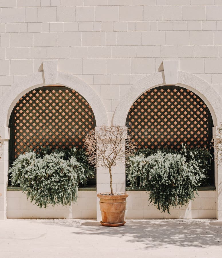 Historic Building Architecture Texture Old Arch Terrace Stock Image ...