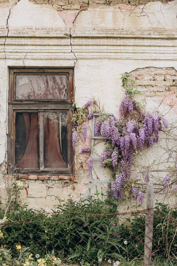 Historic Building Architecture Texture Old Arch Terrace Stock Image ...