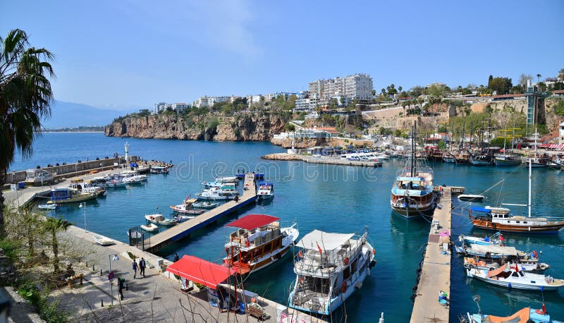 Antalya - TURKEY editorial photo. Image of tree, flower - 266506236