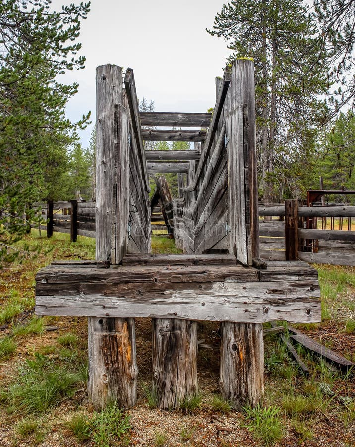 Historic Cattle Loading Chute Stock Image - Image of historic, rural ...