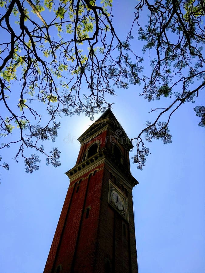 Historic Clock Tower in Sunlight Stock Image - Image of delicate, plant ...