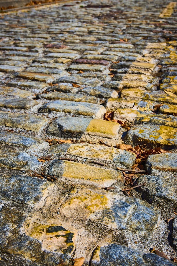 Historic Cobblestone Path Texture with Low Ground Perspective Stock ...