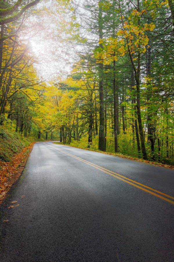 Historic Columbia River Highway in Fall Stock Photo - Image of road ...