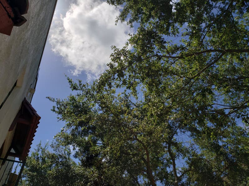 Views of Historic Downtown Cocoa, Florida in Summer Stock Image - Image ...