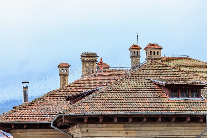 Historic European Rooftops with Multiple Chimneys Against a Misty ...
