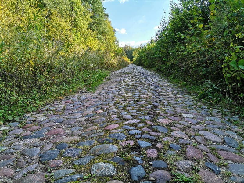 Historic old road stock photo. Image of nature, trail - 264402052