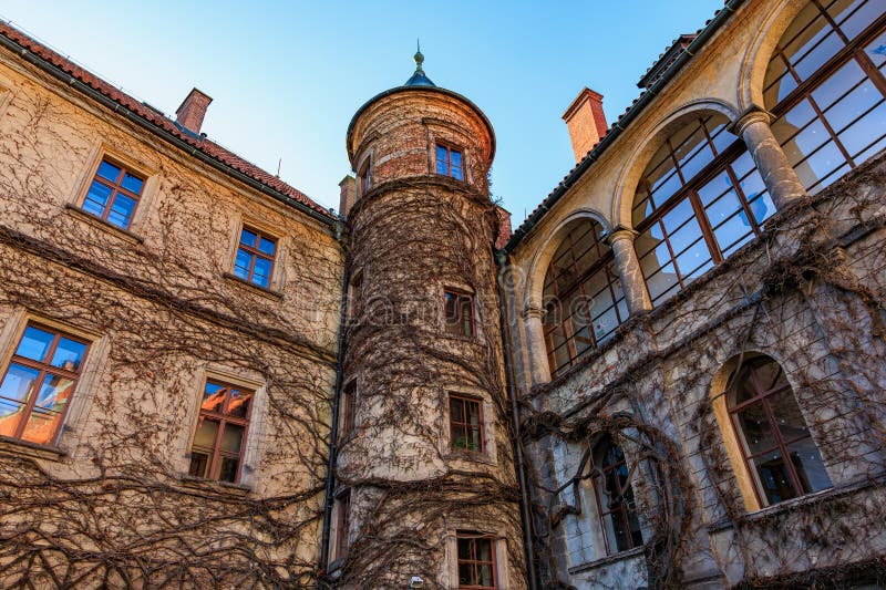 Historic Stone Castle Facade with Ivy-covered Tower and Arched Windows ...