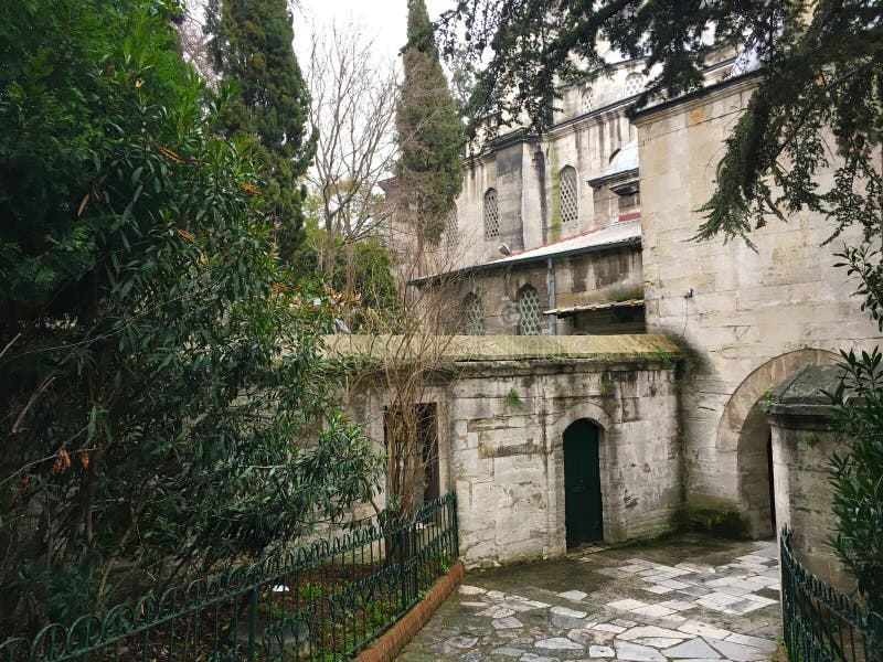 Weathered Stone Building with Arched Doorway Framed by Dense Green ...