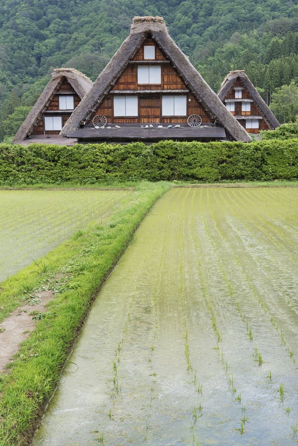 Old Japanese farm house stock photo. Image of japan - 109230128