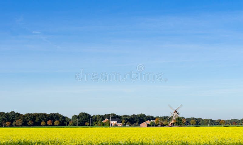 Historic windmill , field stock photo. Image of yellow - 137840602
