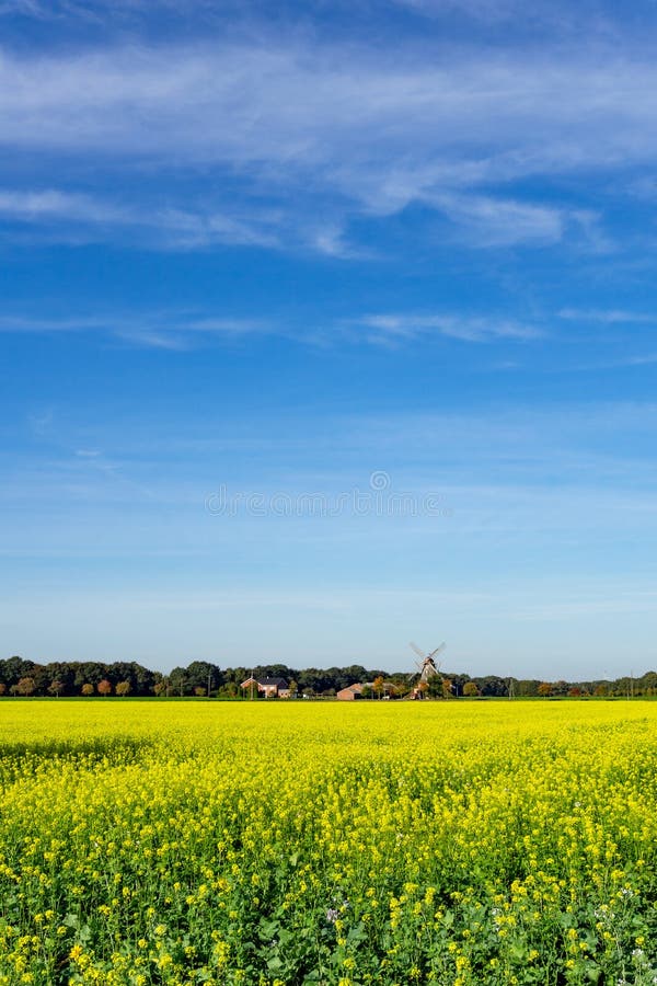 Historic windmill , field stock image. Image of mafrac14 - 137840849