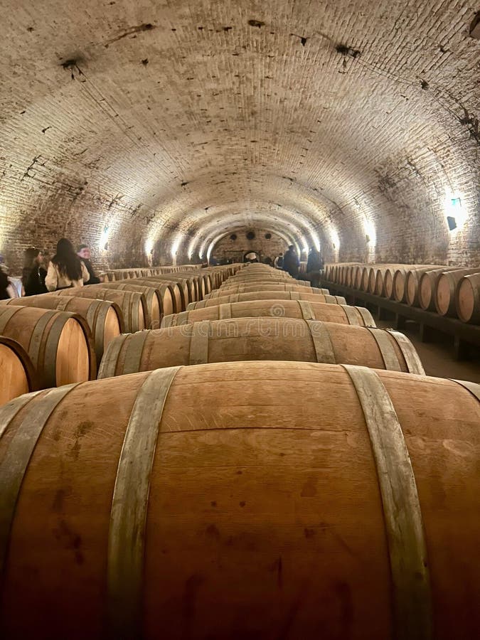 Historic Wine Cellar with Barrels Stock Image - Image of cellar ...