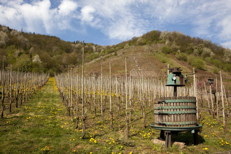 Historic Wine Press on Vineyard Stock Image - Image of vineyard, spring ...