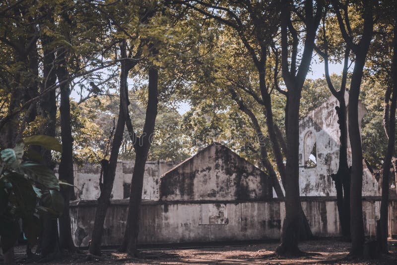 Historical building forest stock photo. Image of sunlight - 211531032