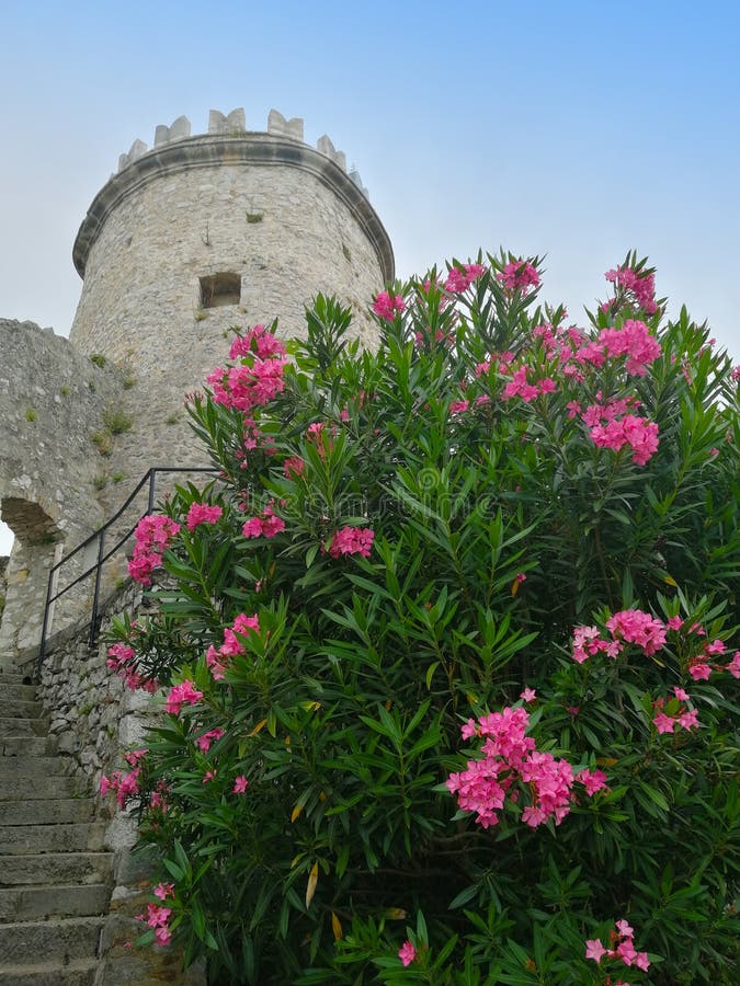 Historical Castle Tower with Flowers in the Front Stock Image - Image ...