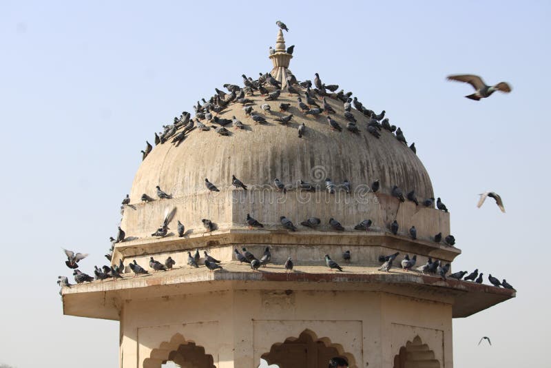 Historical of India Rajasthan Editorial Stock Image - Image of ...