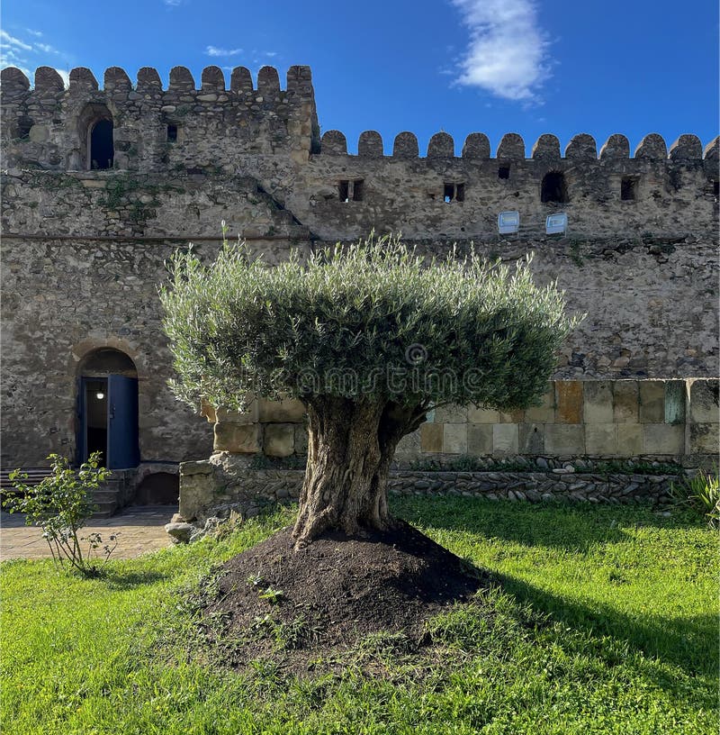 Historical Monuments of Georgia - Mtskheta, Jvari Monastery Stock Image ...