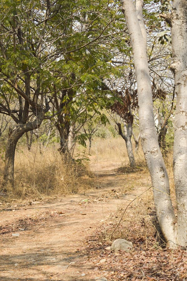 Historical Pathway in Hyderabad India Stock Image - Image of outdoor ...
