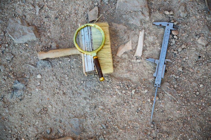 Historical Reconstruction of an Archaeological Expedition of the Mid ...