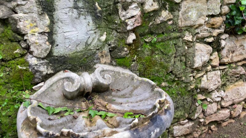Historical Ruins in a Park in Portugal Stock Video - Video of water ...