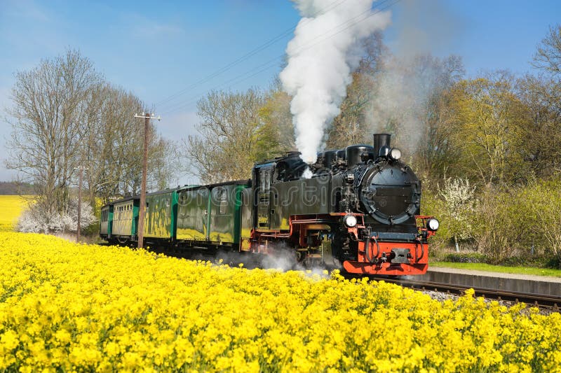 Historical Steam Train on Island Ruegen in Spring Stock Photo - Image ...