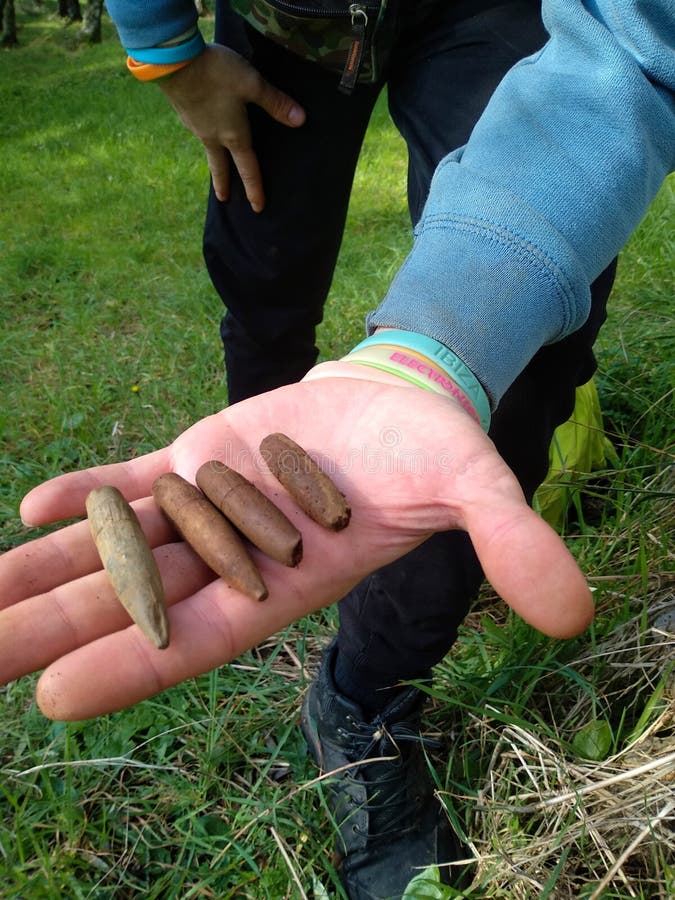 Historical War Finds. Ancient Weapons and Projectiles Stock Image ...