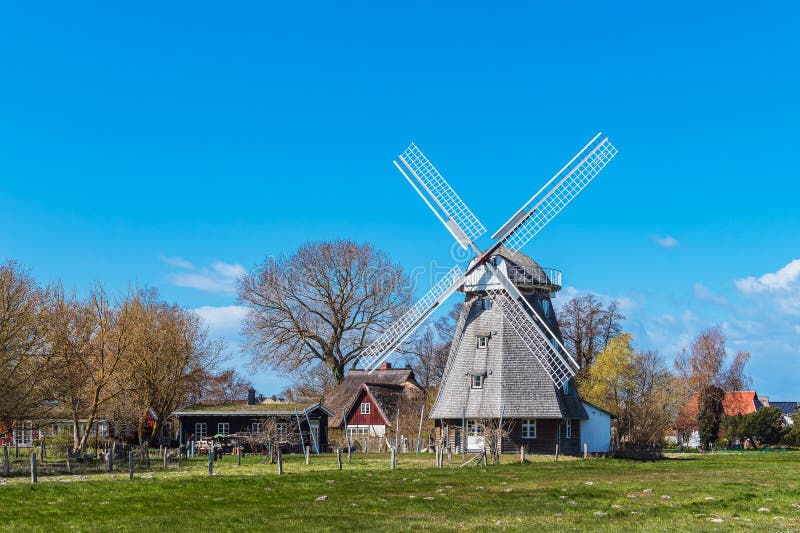 Historical Wind Mill with Trees in Ahrenshoop, Germany Stock Photo ...