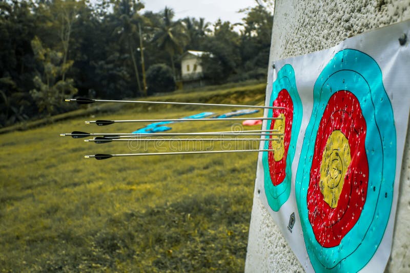 Hit the target stock photo. Image of sport, correctly - 244254638