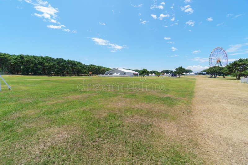 Hitachi Seaside Park, Japan Stock Photo - Image of built, landmark ...